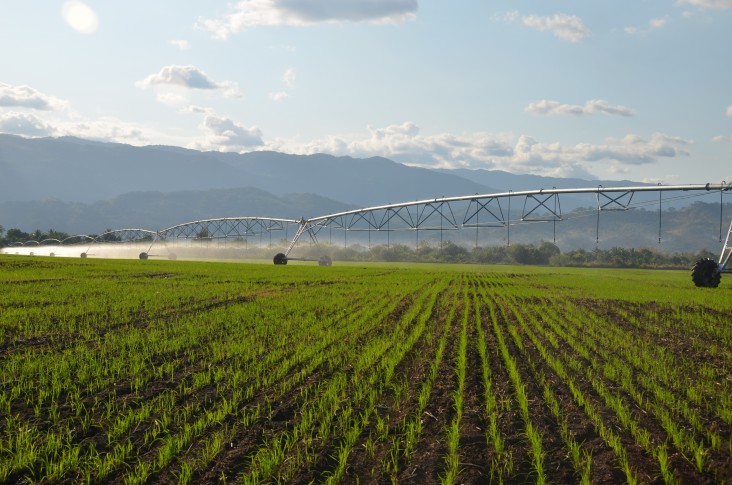 Why Invest in Agriculture and Livestock Sectors in Tanzania?