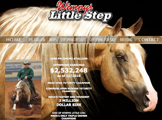 100 Mile Sliders Reining Club: STALLION SPOTLIGHT-WIMPYS LITTLE STEP