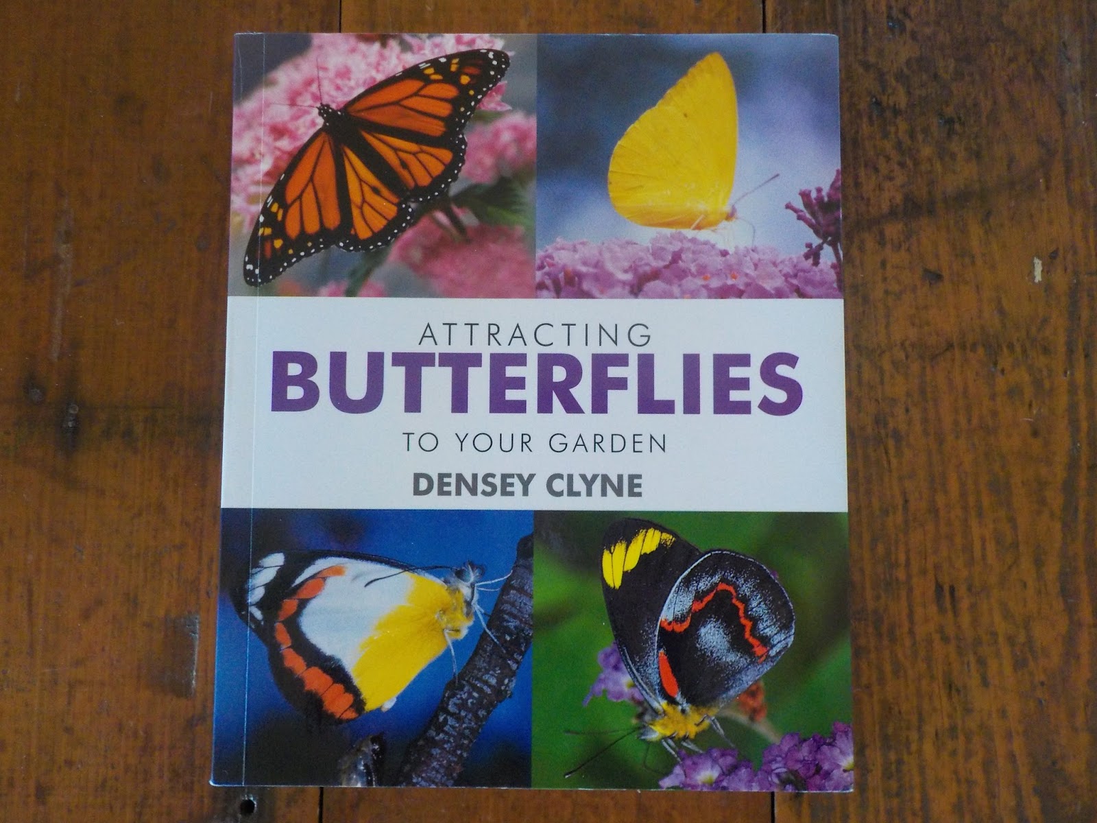 a hopeful nature: Butterflies and a Book