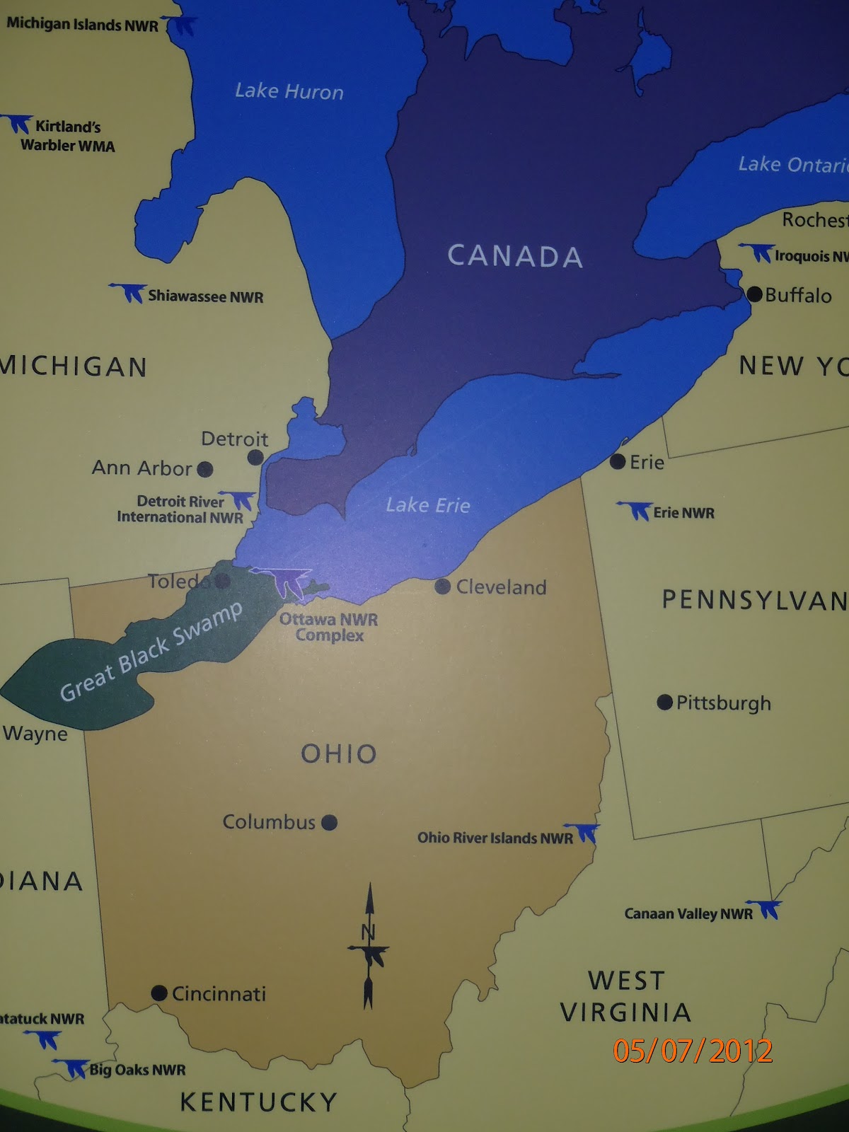 Wild and in Color: Black Birder in the Black Swamp