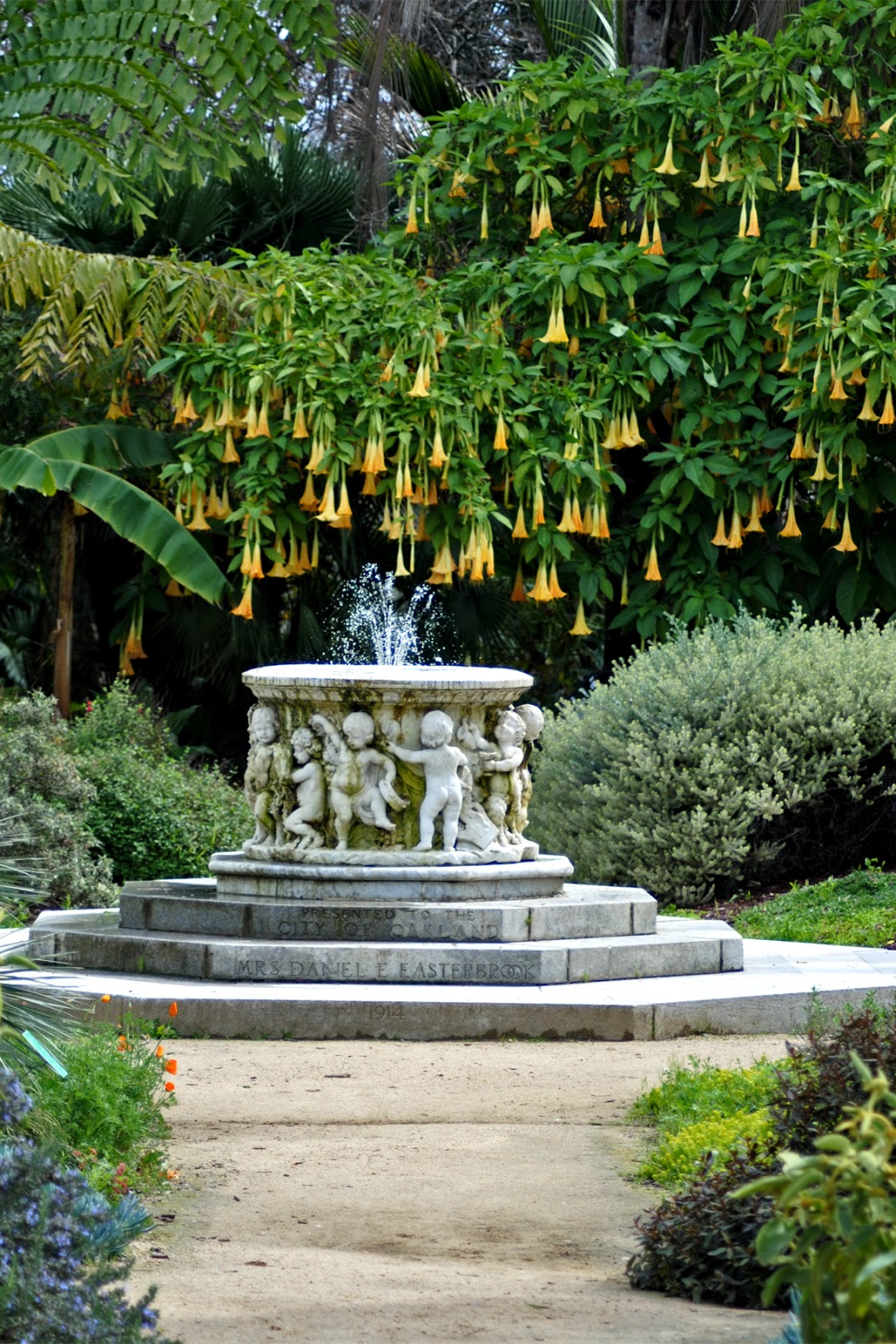 Adventures through Photography: Gardens at Lake Merritt Part II - On ...