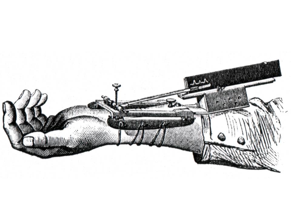 Berkley Horse - Alchetron, The Free Social Encyclopedia