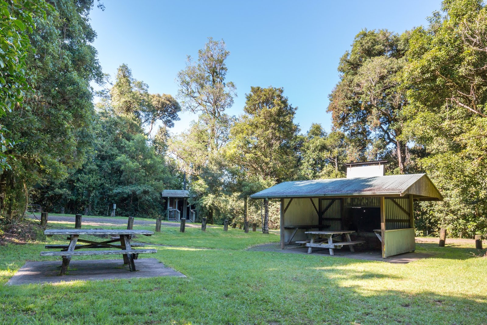 National Park Odyssey: Tweed Range Scenic Drive, Wildlife and Walks in ...