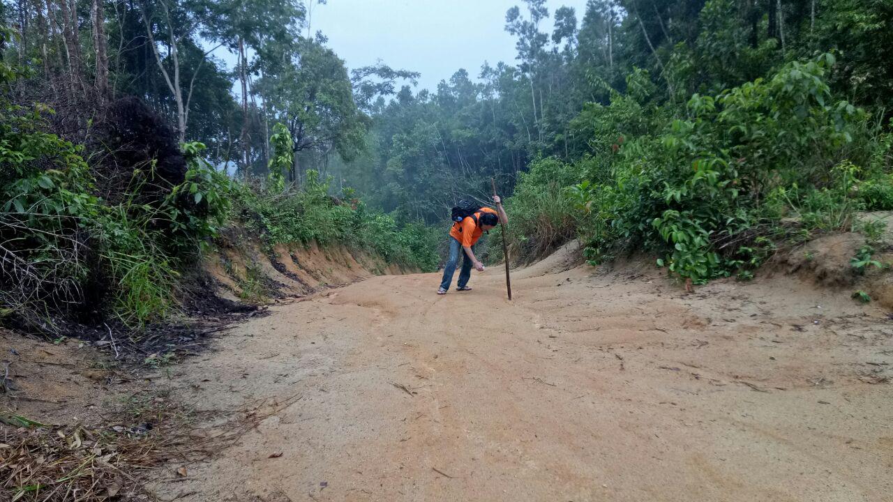 Bukit Maras, Batu Rakit, Kuala Terengganu, Terengganu - Unikversiti