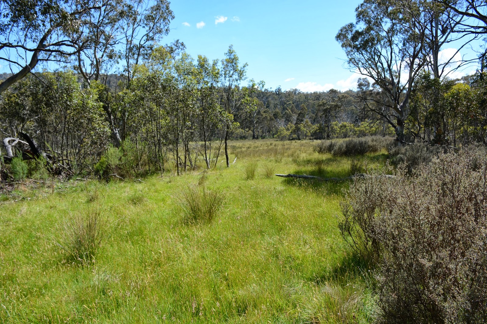 walkabouters club of victoria inc: Waterfall Track