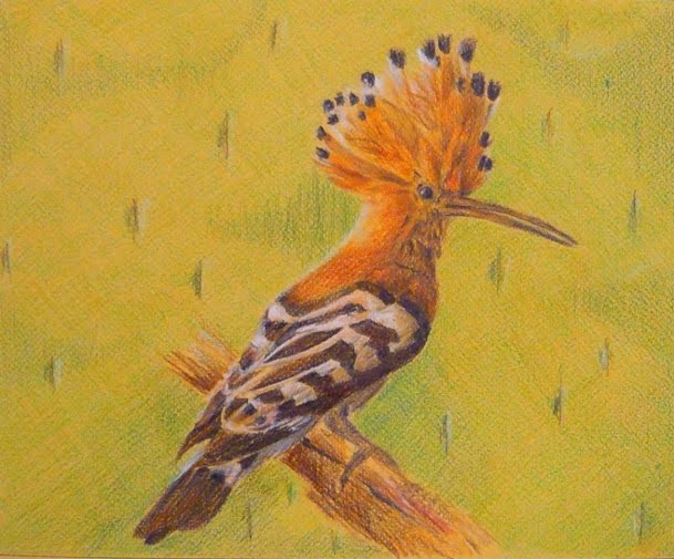 Malarstwo Rysunek, To co Kocham 🙂 ️💫🌌☄️🌠 💕💖: Ptaki.Rysunek.