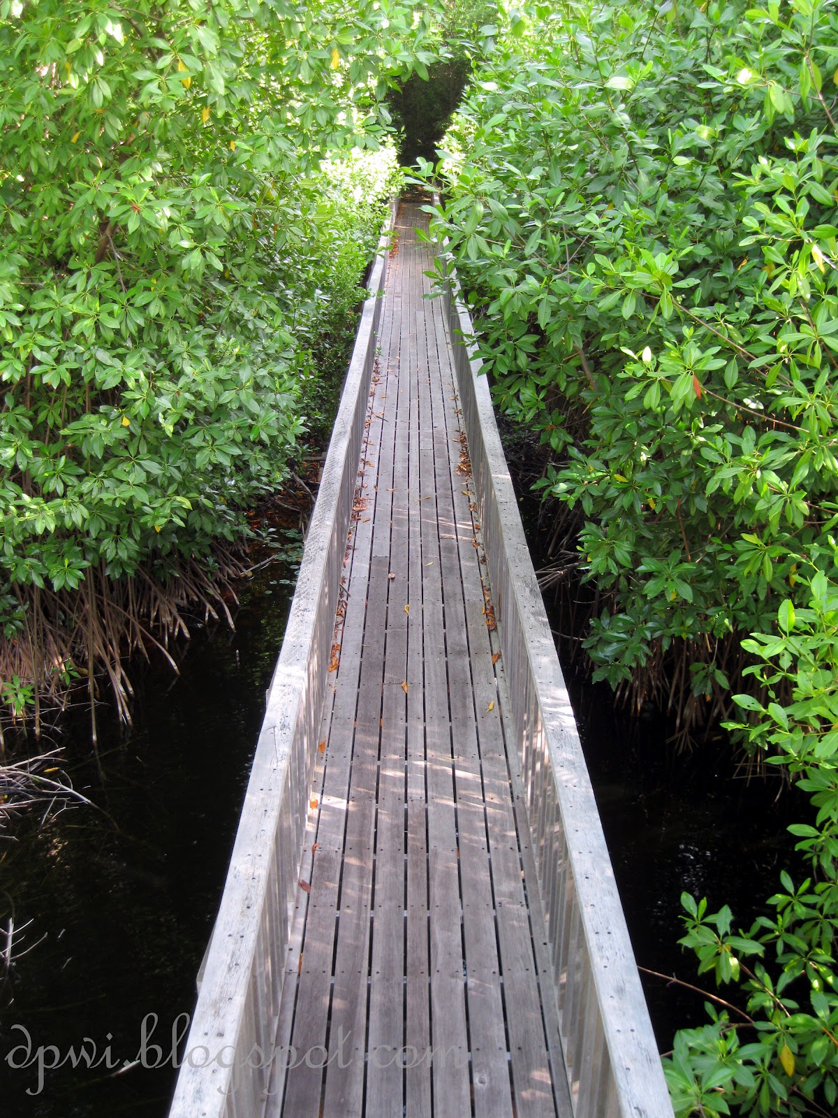 Don't play with it: Summertime... in the isle of Spice