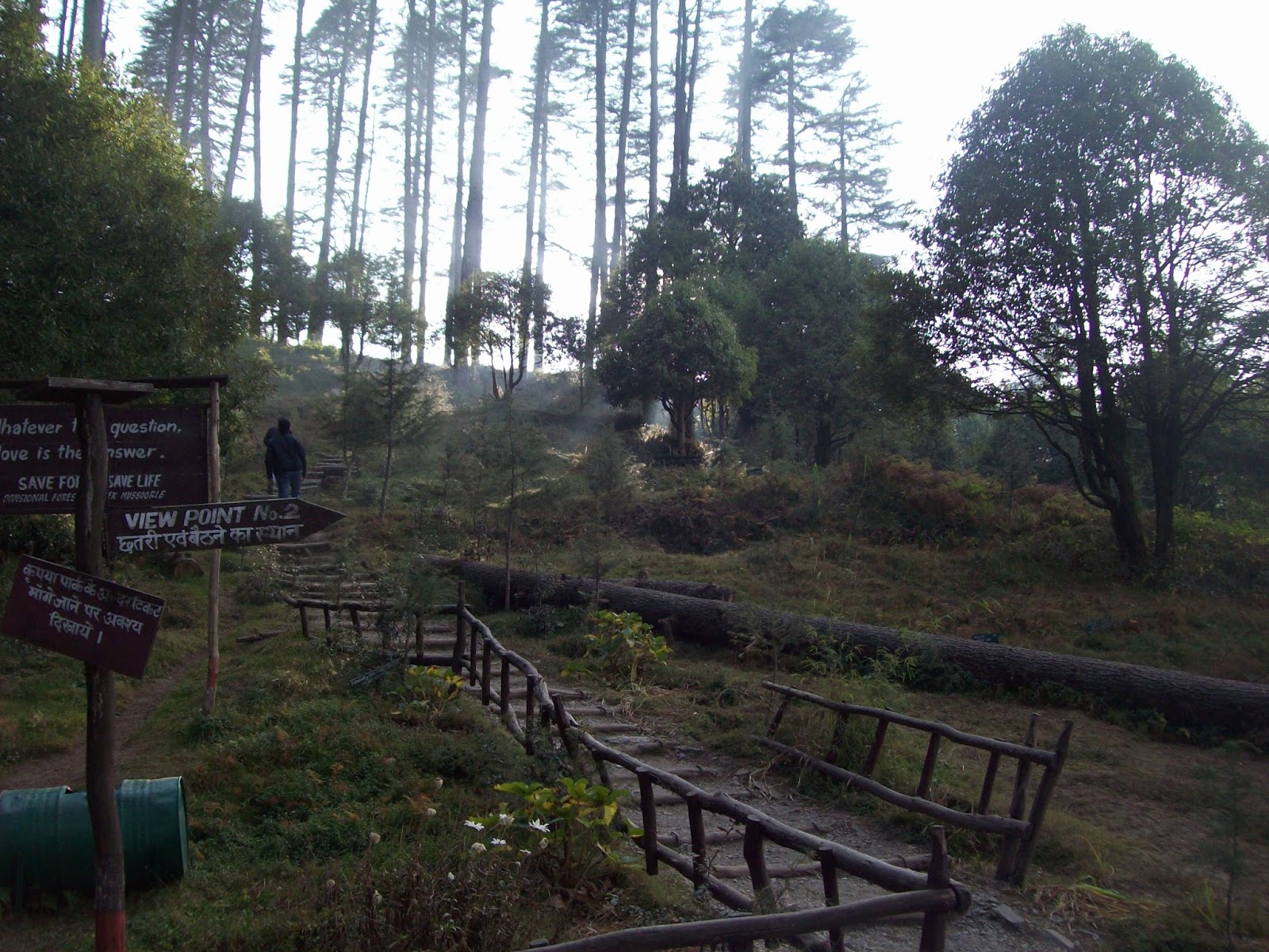 CHINAR SHADE : PHOTOGRAPHS OF A RECENT VISIT TO MUSSOORIE AND DHANAULTI ...