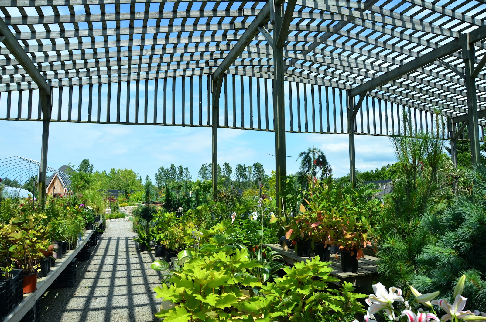 Meredith's Garden Blog: Why The Potting Shed is my favorite nursery...