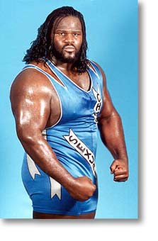 WORLD WRESTLING ENTERTAINMENT: American Professional Wrestler,World ...