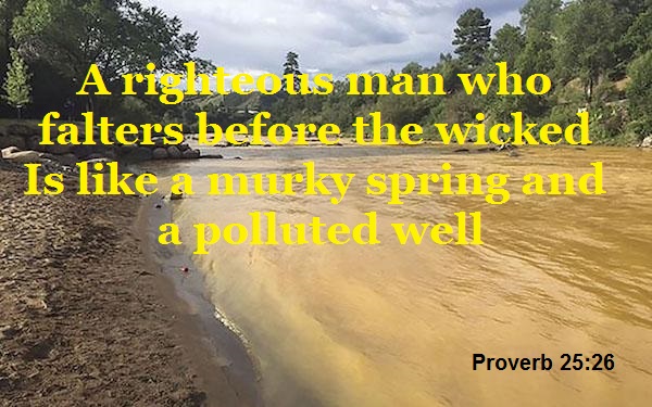 A Christian's Worldview: Wear The Armor, So You Don't Falter--Proverb 25:26