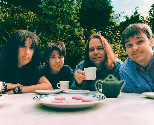 Teenage Dogs In Trouble: The Fastbacks- Last Show?