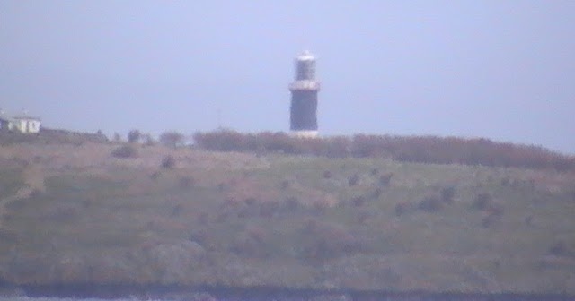 Pete's Irish Lighthouses: Mew Island