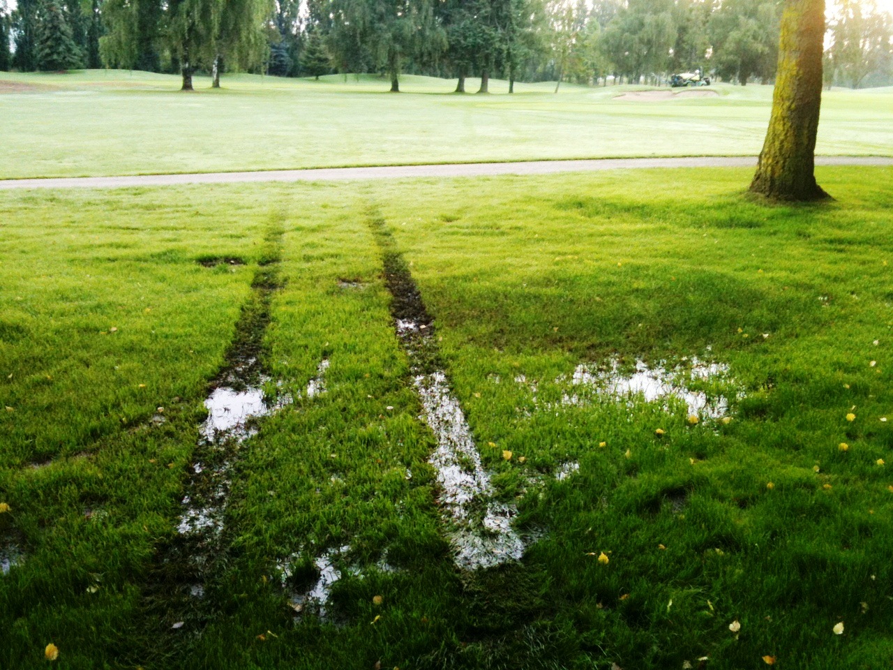 Quilchena Golf Club Turf Care: Frustrating is an understatement...