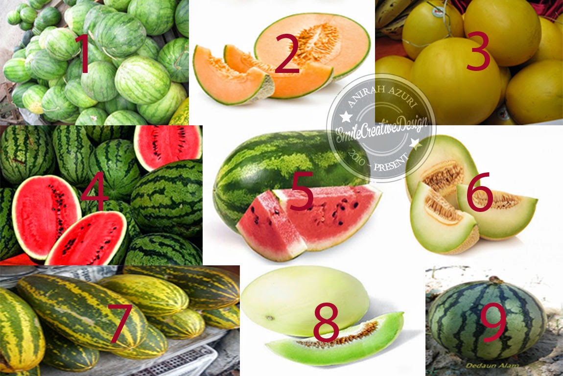 Panduan Terbaik Memilih Tembikai Yang Enak | ANIRAH AZURI™ BLOG SEO DAN ...