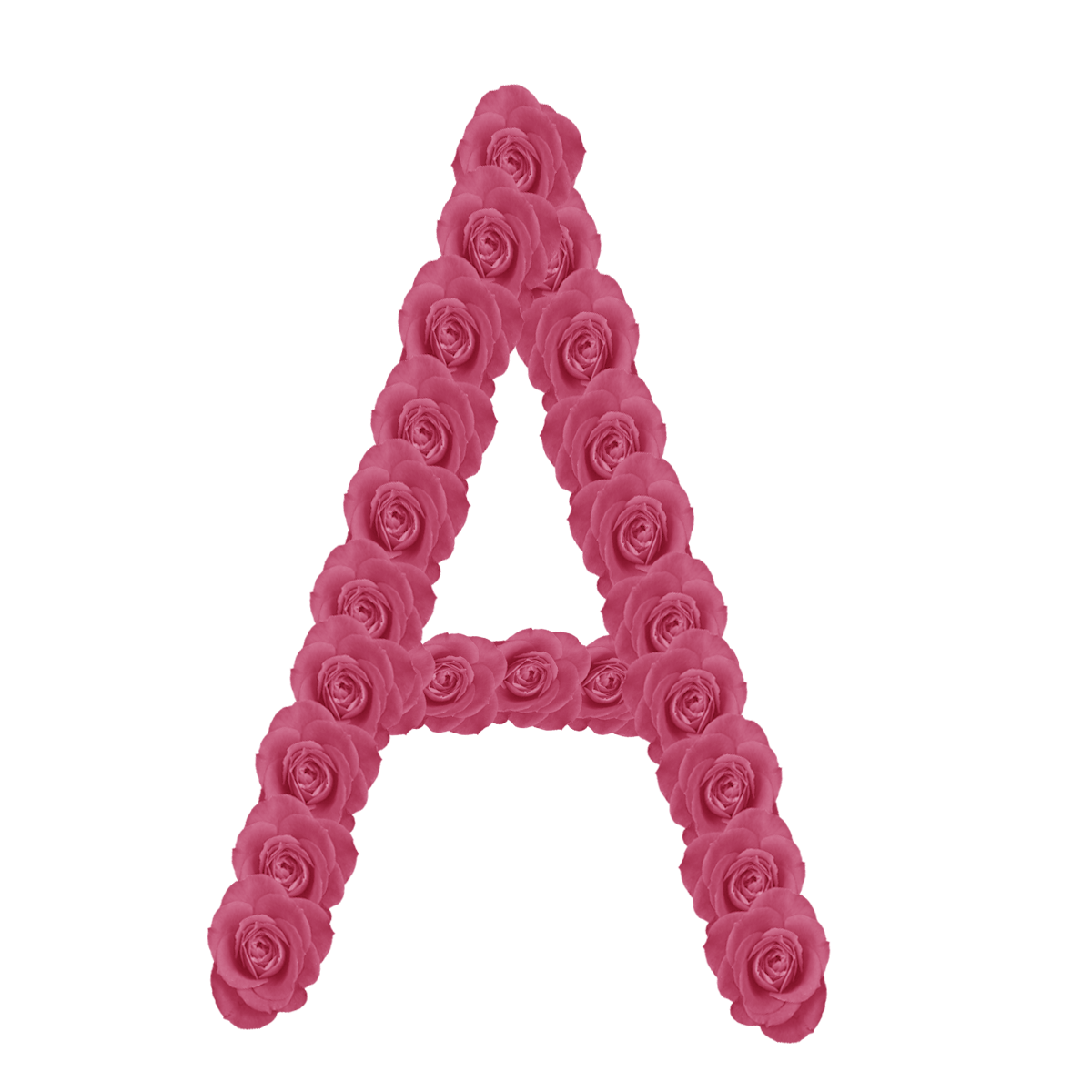 ALFABETO ILUSTRADO ROSAS LETRAS EM PNG COM FUNDO TRANSPARENTE-ALFABETOS ...
