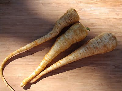 Food Santa Cruz: Parsnip, The Exotic Root Vegetable