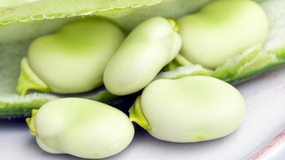 Vitale Voeding: Tuinboon