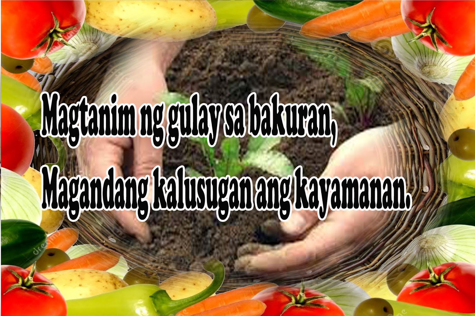 Nutrition Tarpaulin