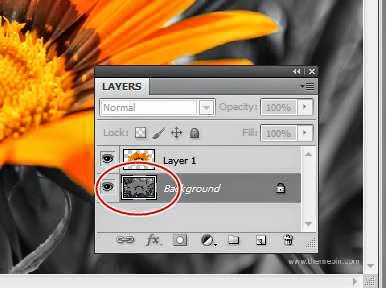 Tutorial Photoshop Efek Color Splash Hitam Putih | Psd48