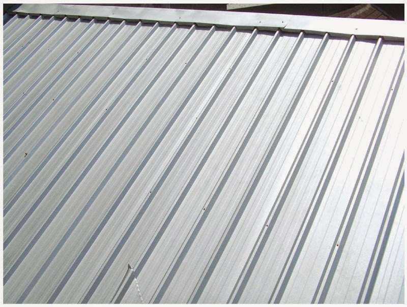 Istana Plafon ( Istana Gypsum ): Atap