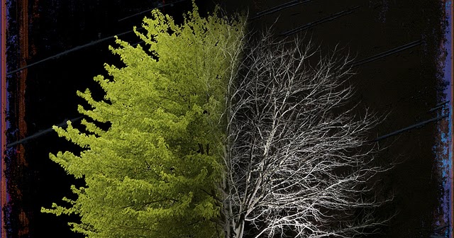 DEATH TWITCHES MY EARS,'LIVE' HE SAYS,'I AM COMING' - Chirkut Blog ...