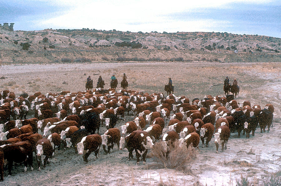 Cattle Empire (Fox, 1958) – Jeff Arnold’s West