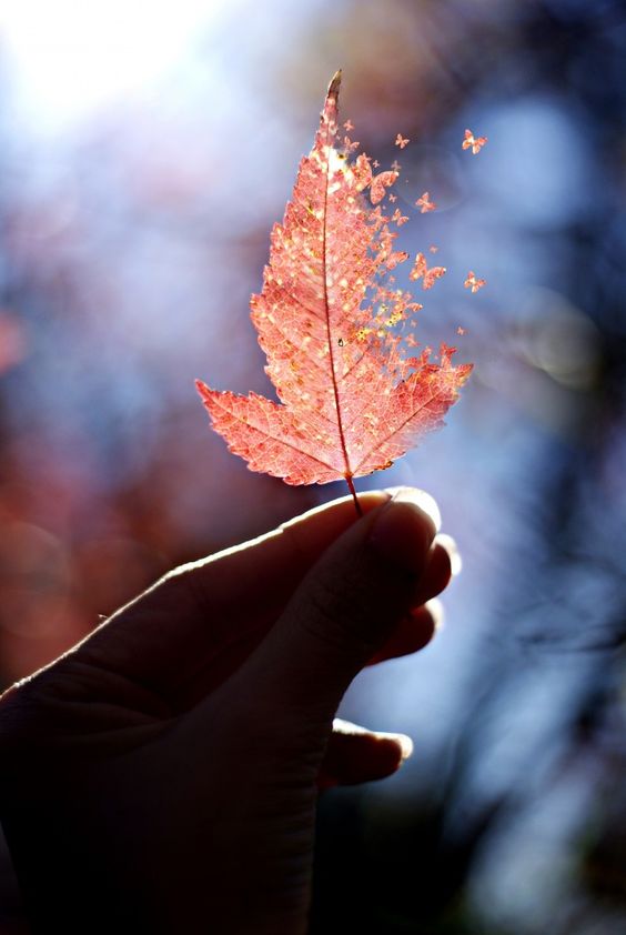 depoetasylocos: SIMBOLO DE LA SOLEDAD