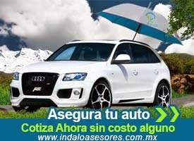 El blog de Evolet: Hermosa raza de caballo Gypsy Vanner