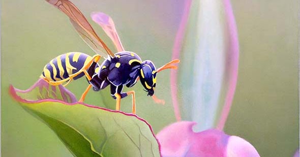 Creative Realism: Wily Wasp
