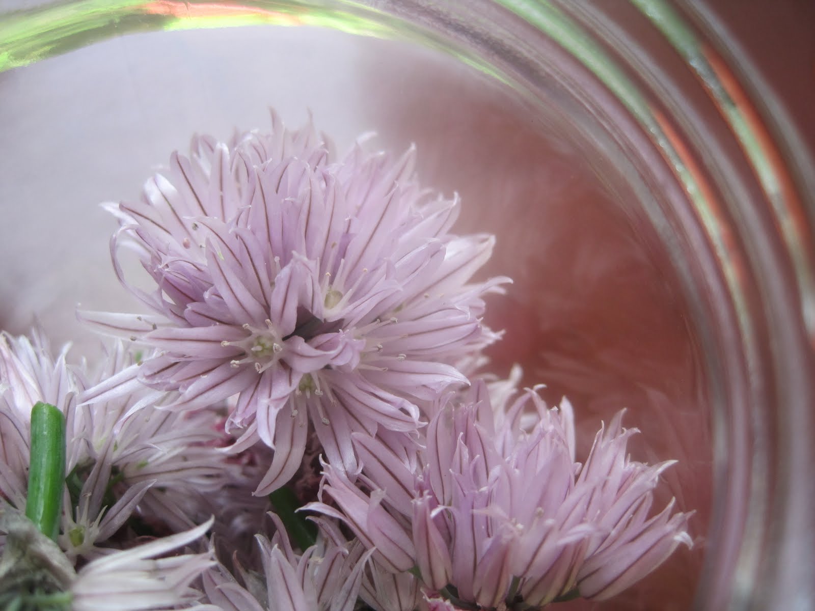 Chives, Glorious Chives! (3 Recipes for the Price of One Click)