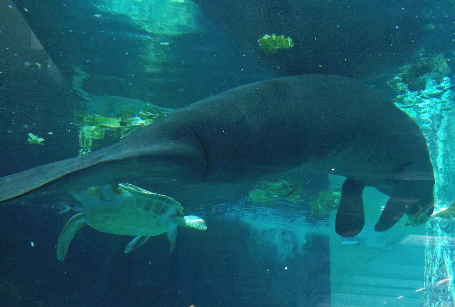 Wine and Spirits Travel: Sun Shines Through Lido Key & Mote Aquarium