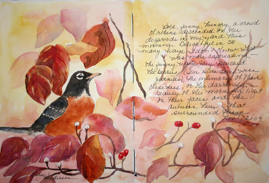 Sketching in Nature: A Robin Sketch Becomes a Painting