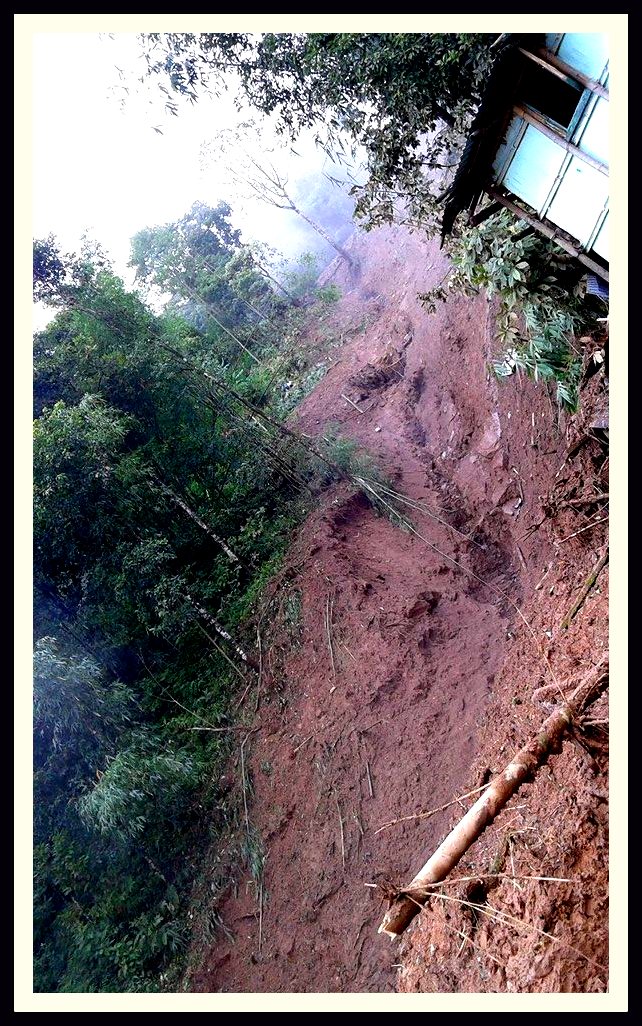 The Great Indian Mango People: Darjeeling Landslide!