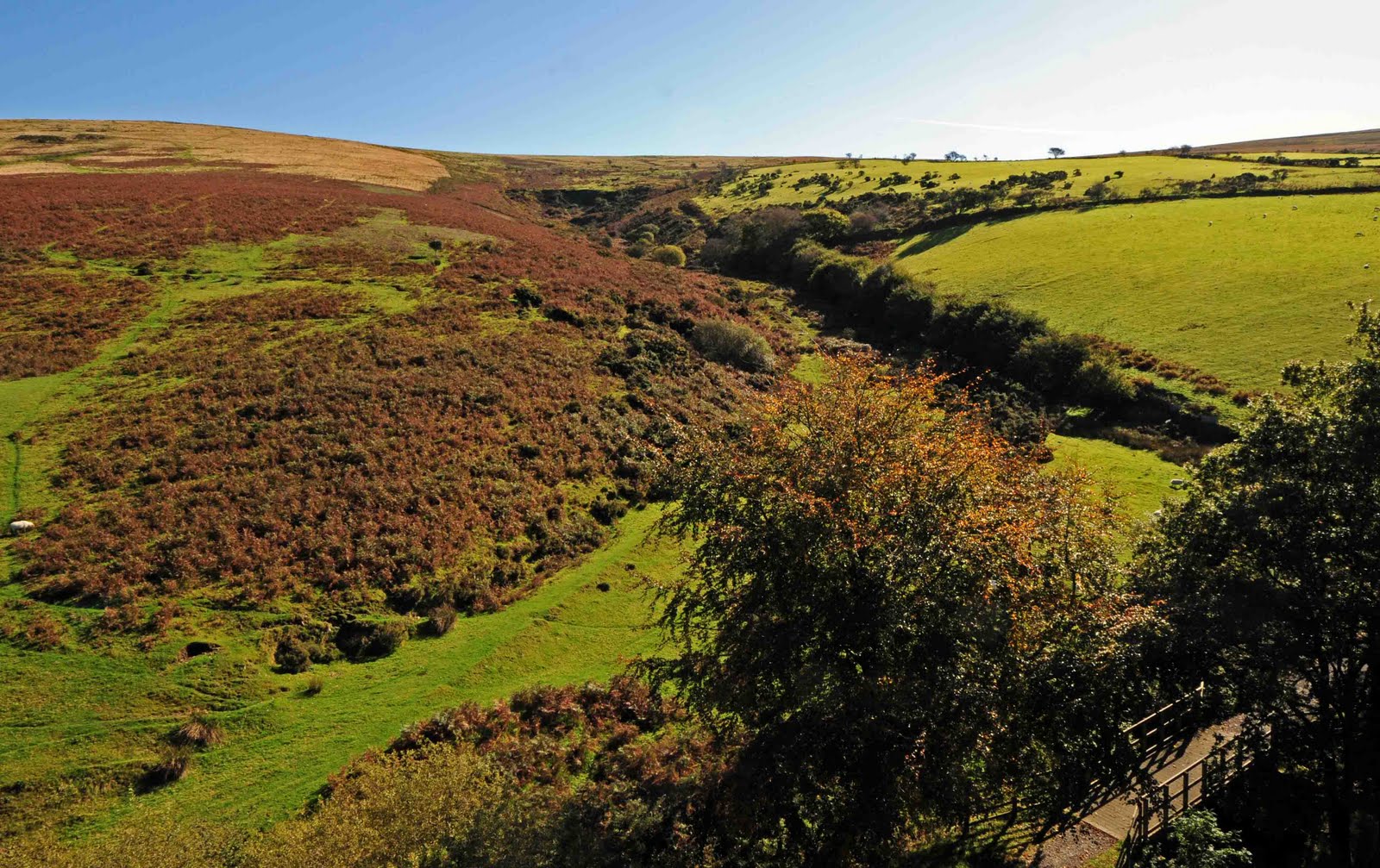 loveUKtravel: Traffic-Free Cycling Route 1 - The Granite Way ...