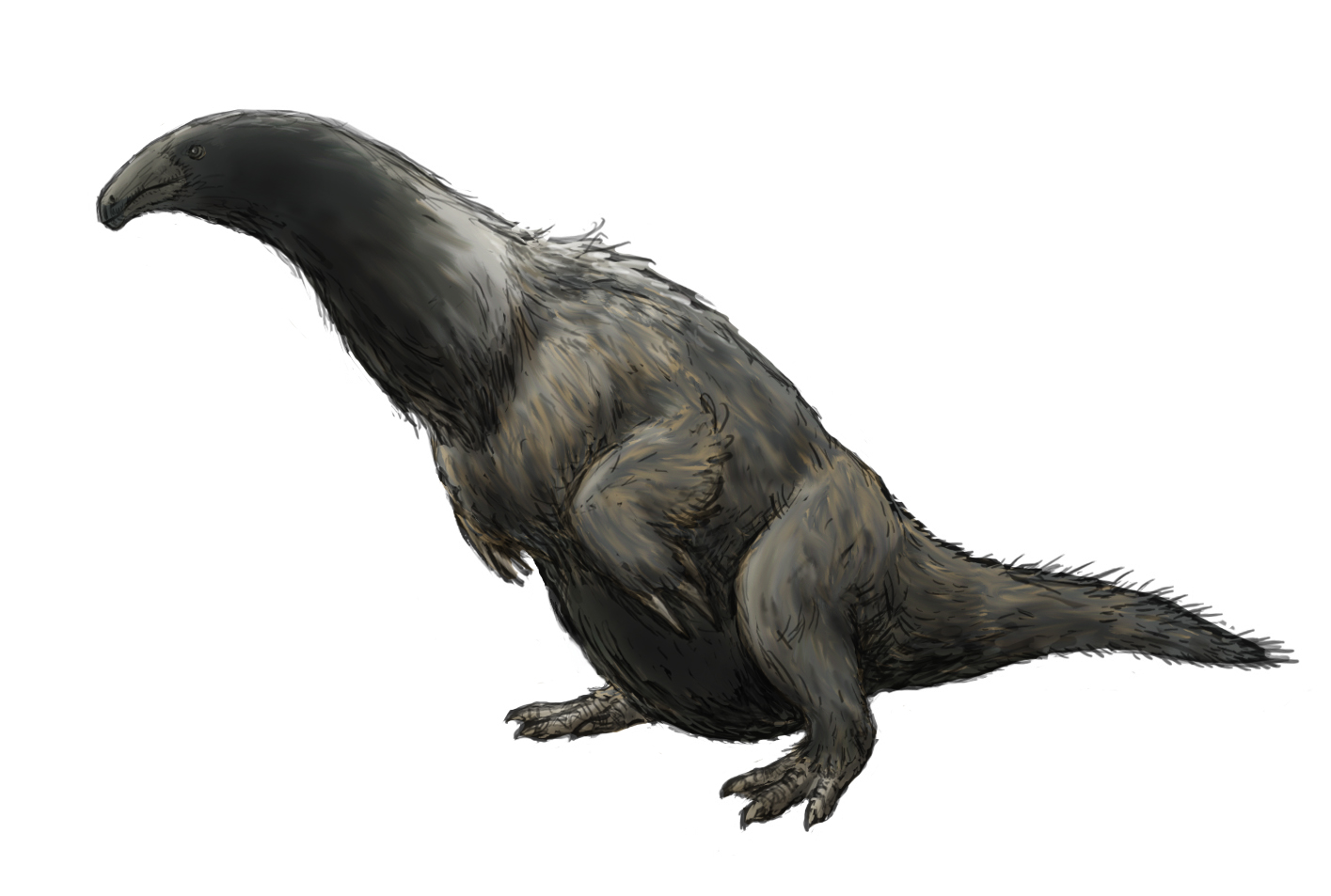 Los animales en la prehistoria: Animales prehistóricos con la letra E