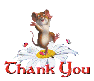 GIFS ANIMADAS ***: *** THANK YOU I
