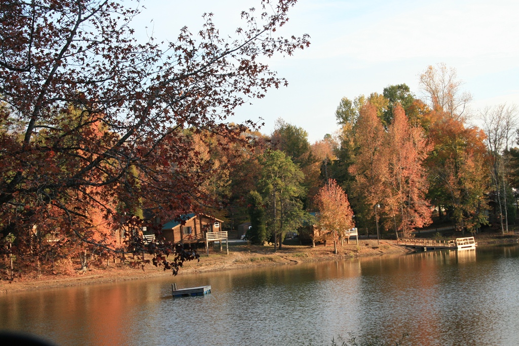 Buzzing and Bumbling: Tutorial for the Don't Leaf Me Alone block