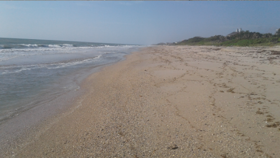 The Treasure Beaches Report Direct From Florida's Treasure Coast.: 5/21 ...