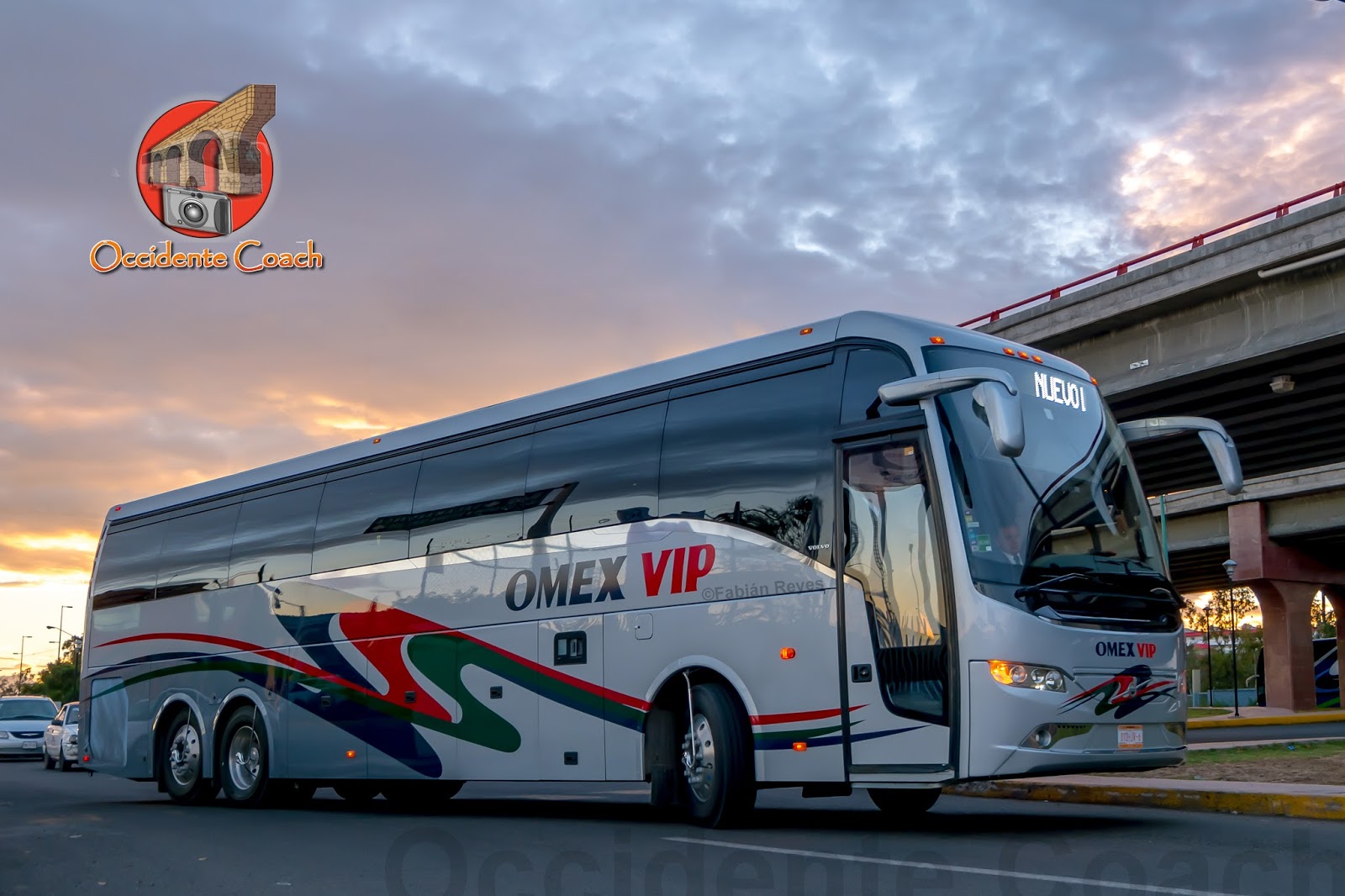 Occidente Coach: Omex VIP