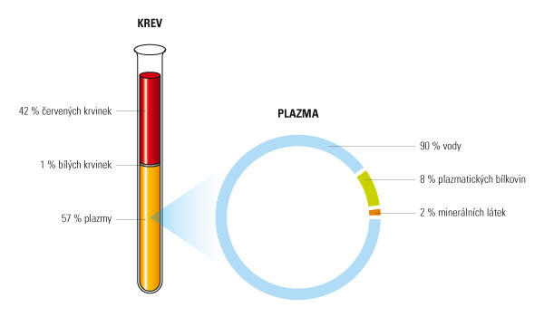 Koubův blog: Dárce plazmy