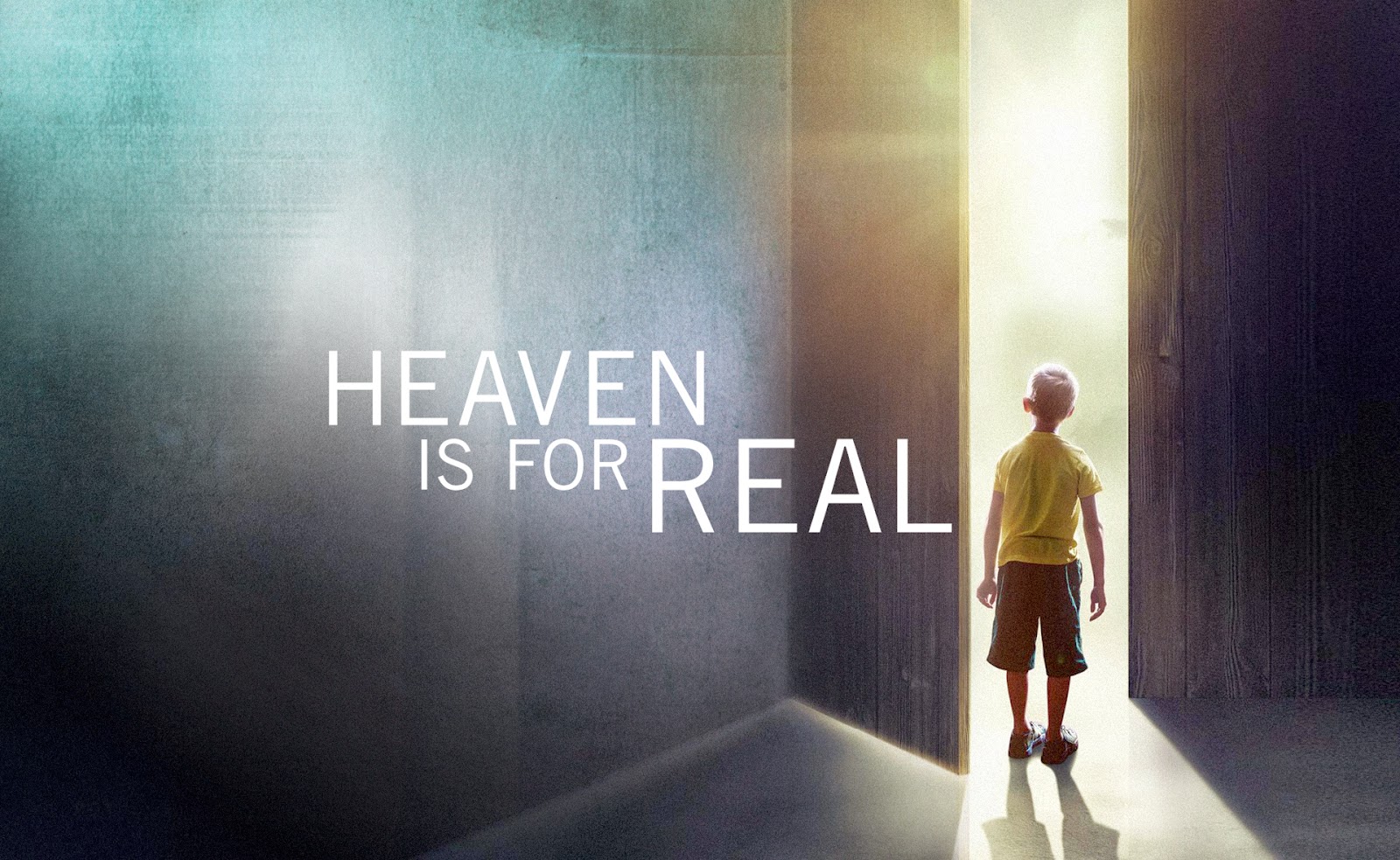 In A Nutshell: Heaven is for Real...by Angie Terry
