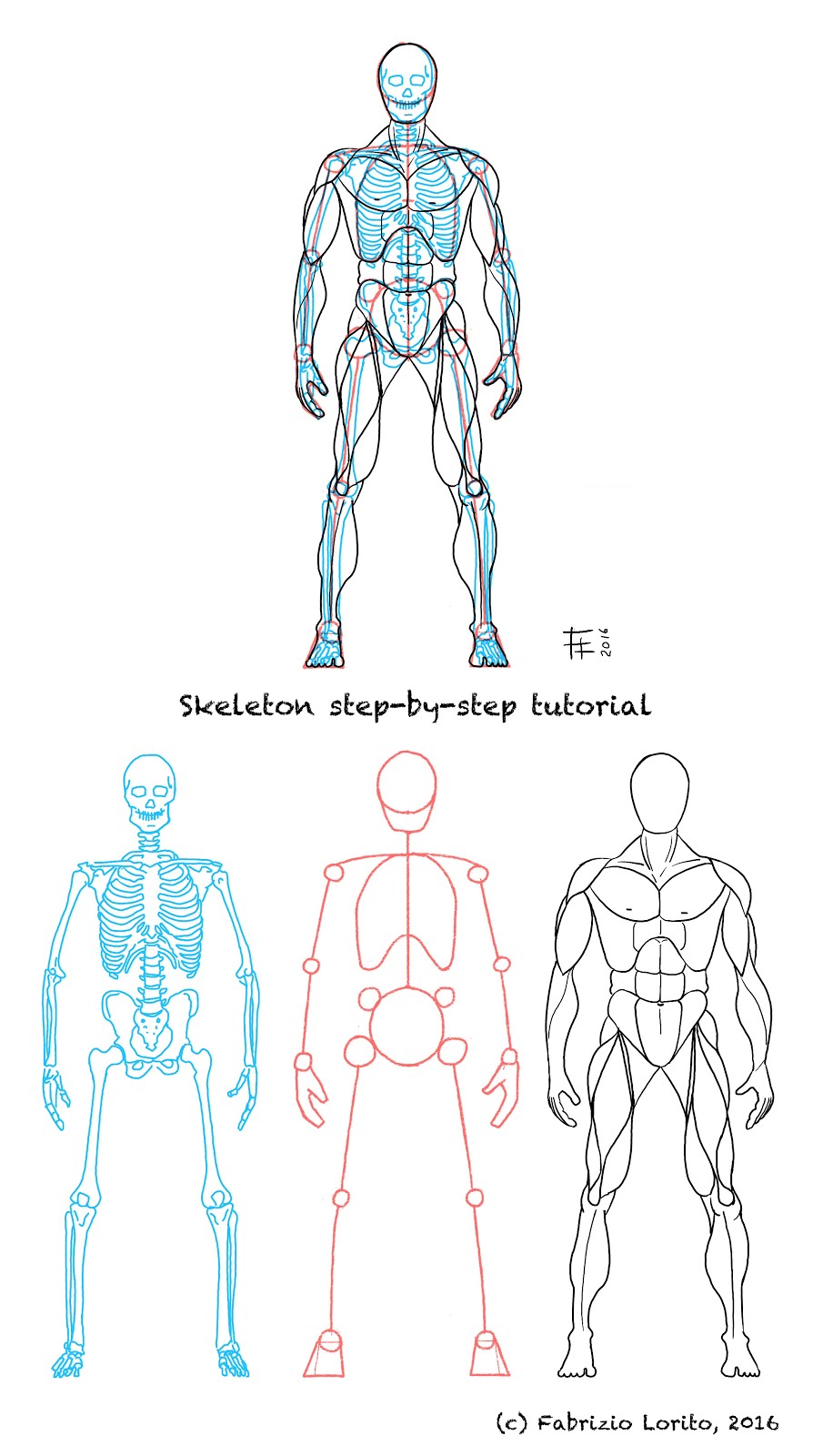 Fabrizio Lorito: Step-by-step tutorial - Skeleton structure, front