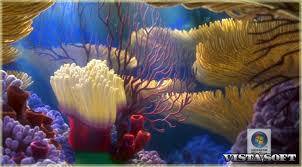 windows web wallpaper - Awesome Wallpaper