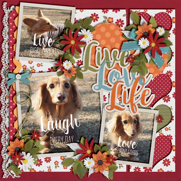 Live Love Life-This is My Life...