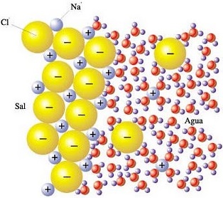 Electrolitos | Hidratación y vitalidad