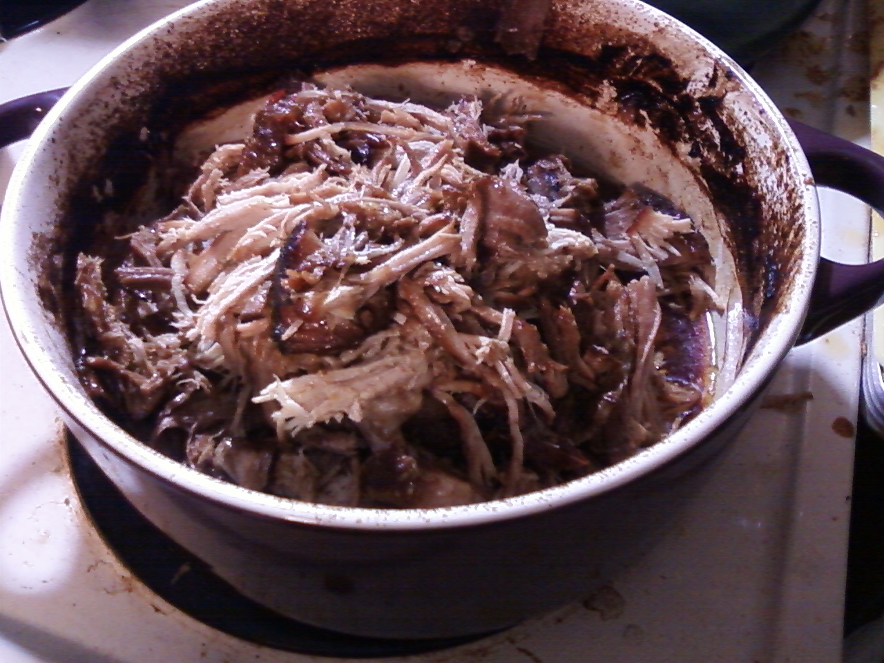 Teachings from Lil Slug a Bug: SPicy Pop Pulled Pork!!