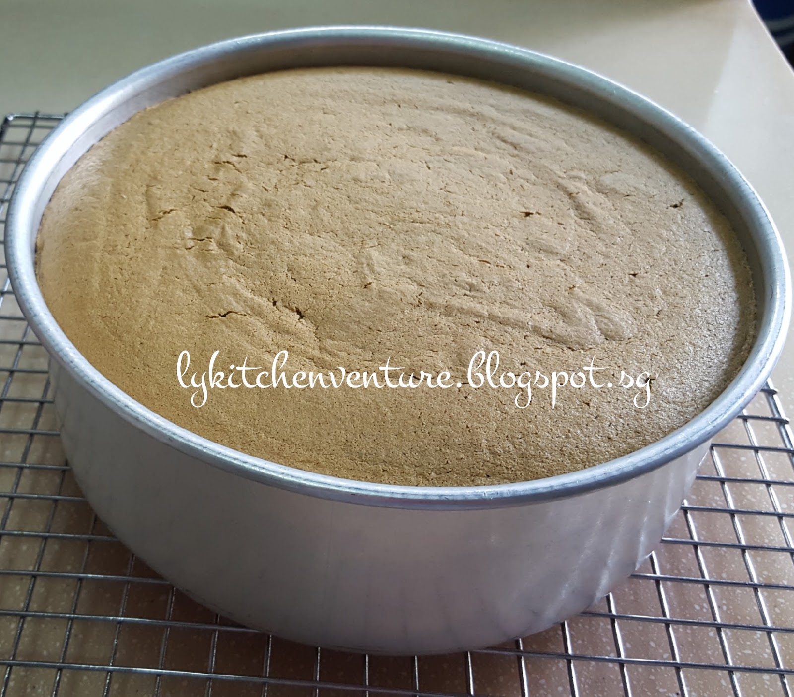 LY's Kitchen Ventures: Pandan Sponge Cake (Cooked Dough Method)