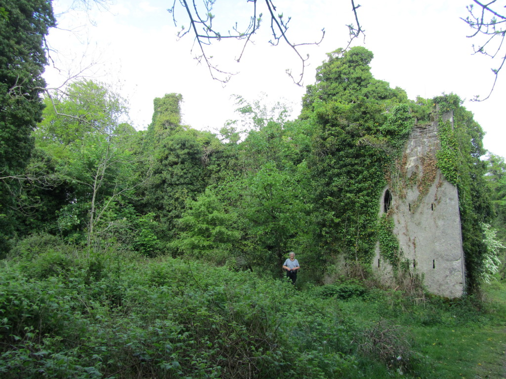 NB The Puzzler: May 2011