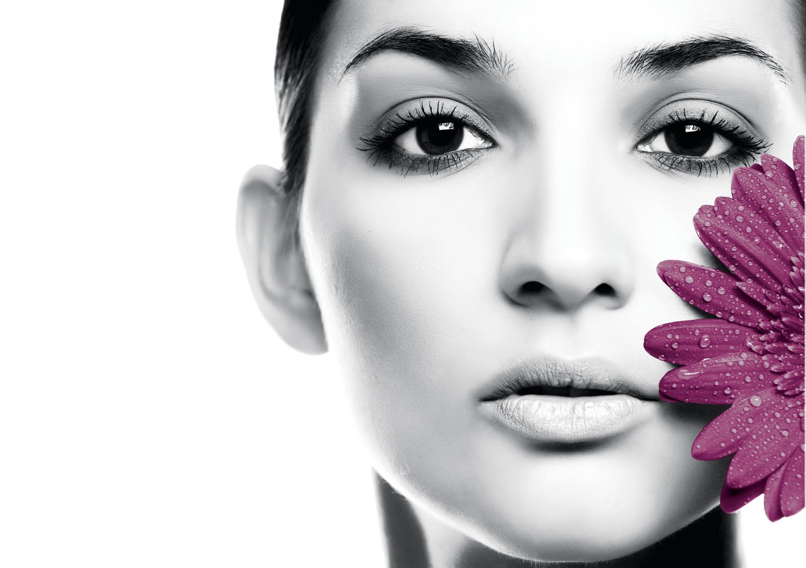 LA FILOSOFÍA DE LA ESTÉTICA : Filosofía de la Estética